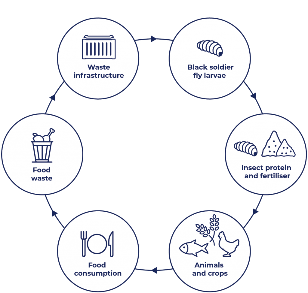 A circular economy to solve the food waste crisis - Goterra