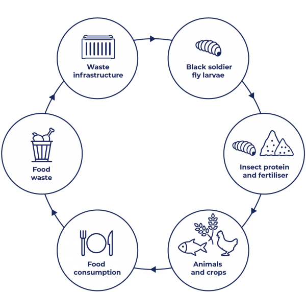 A circular economy to solve the food waste crisis - Goterra
