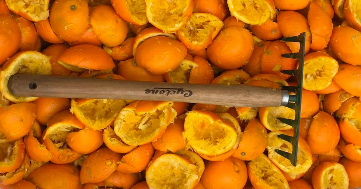 Food waste management infrastructure and recycling - Goterra